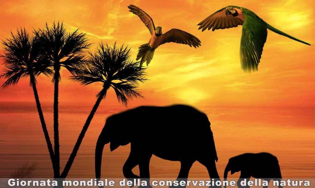Il 28 luglio si celebra la Giornata Mondiale per la Conservazione della ...